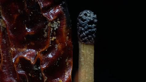 Close Up Asmr Macro Slow Mo Video Lap Youtube