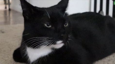 Graveyard Loon Graveyardloon • Instagram Photos And Videos