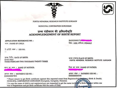 The Ultimate Guide To The Birth Certificate Process In Gurgaongurugram