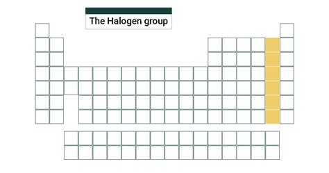 Group 17 The Halogens