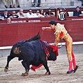 Spanish Style Bullfighting Wikipedia