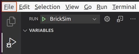 using vs code on linux bricksim