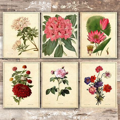 Vintage Botanical Flowers Art Prints Set Of 6 8x10s Etsy