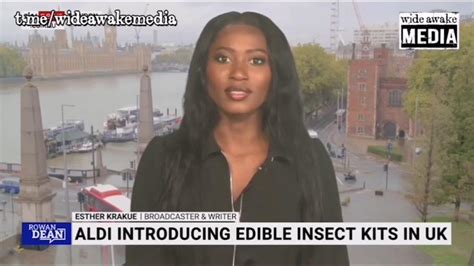 Aldi Introducing Edible Insect Kits In Uk One News Page Video