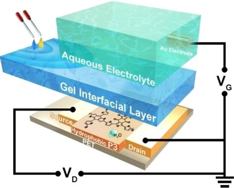 Organic Electrochemical Transistor Based On Hydrophobic Polymer Tuned