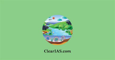 Functions Of Ecosystem Ecological Succession And Homeostasis Clearias