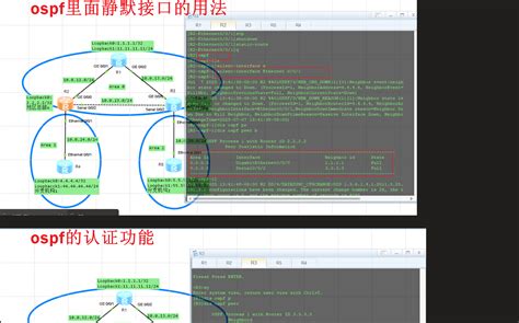 Ospf基础 Csdn博客