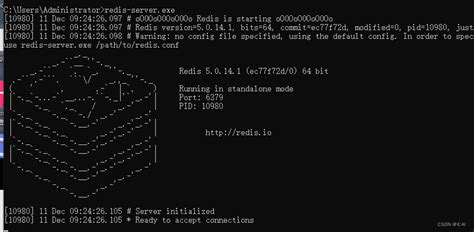 liunx系统安装redis redis免安装linux csdn博客