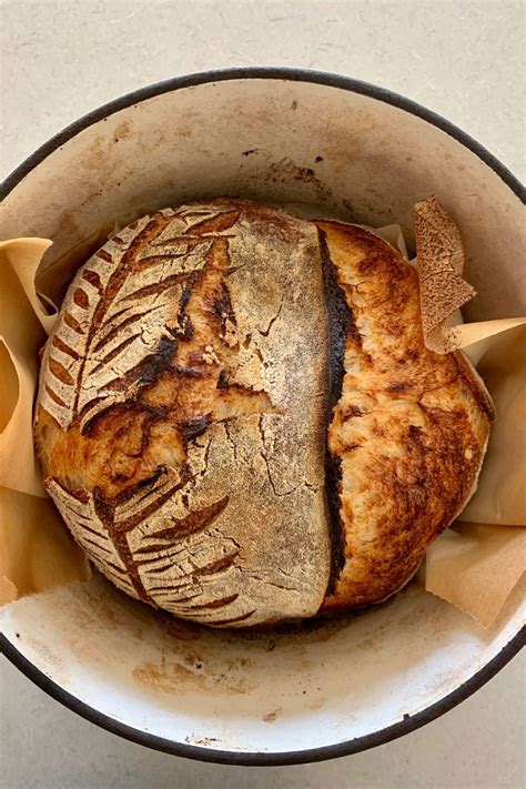 Sourdough Bread Collapses At Judy Acosta Blog