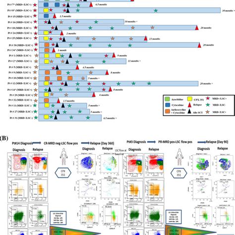 A Swimmer Plot Showing Mrd Lsc Status Achieved By The 23 Responders Download Scientific