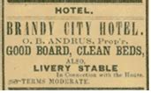 Western Bottle News Sierra County California Ghost Towns