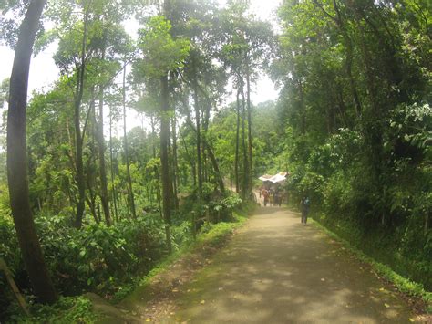 Computer Vision Class Project Ece Virginia Tech Fall 2015 Ece 55544984