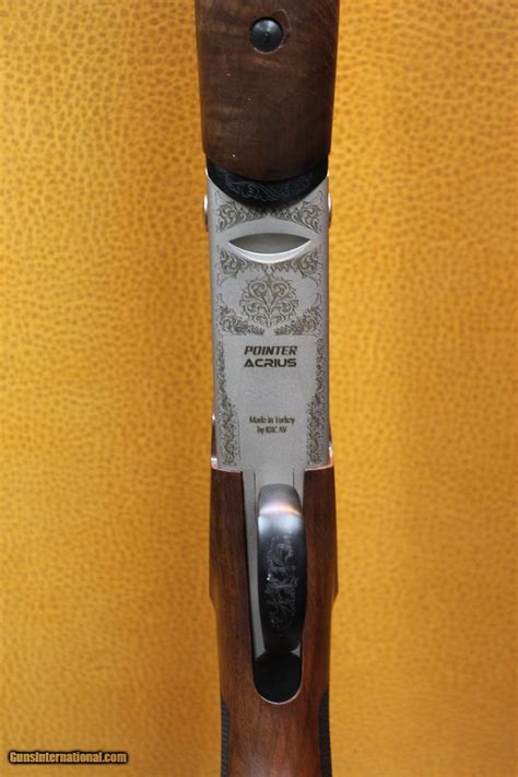 Pointer Acrius 20 Ga Pointer Acrius 20 Ga