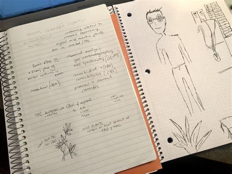 Notes For Class Sketches Rdrugart