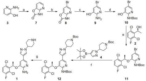 Crizotinib From Discovery To Front Line Treatmentchemicalbook