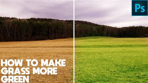 How To Make Realistic Grass In Photoshop At Jean Partain Blog