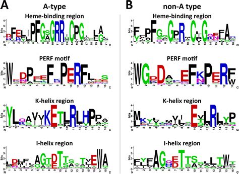 Identification And Analysis Of Cyp450 Genes From Transcriptome Of