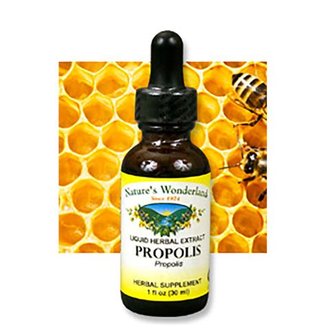 Propolis Liquid Extract 1 Fl Oz 30 Ml Natures Wonderland Homeward Publishing Ministries
