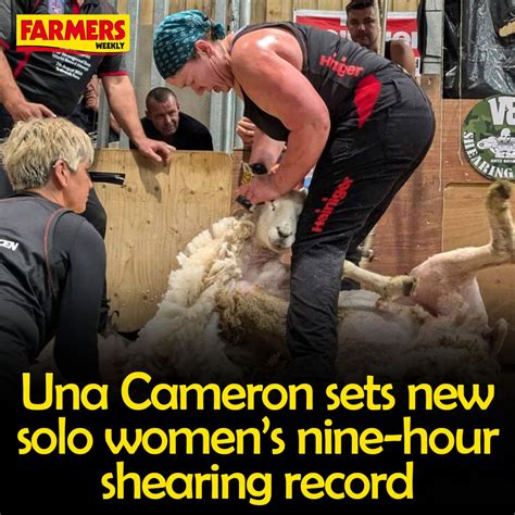 Farmers Weekly On Linkedin 🤩 Sheep Shearer Una Cameron Has Set A New World Record For A Solo Woman