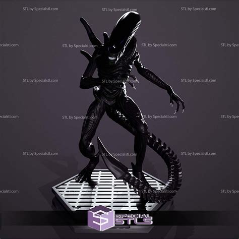 Xenomorph Alien 3d Printer Files Specialstl