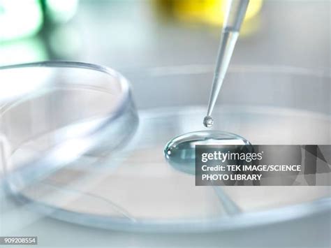 Sequencing Lab Photos And Premium High Res Pictures Getty Images