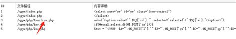 淡然qqyw图标点亮系统代码审计 sql注入 sqqyw源码 csdn博客