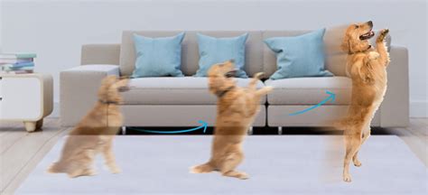 15 Best Varifocal Camera In The World Top Varifocal Camera