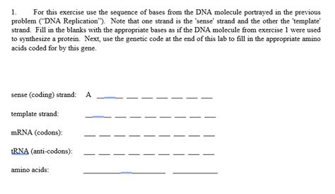 Solved Complete DNA Replication Using The Table Given Chegg