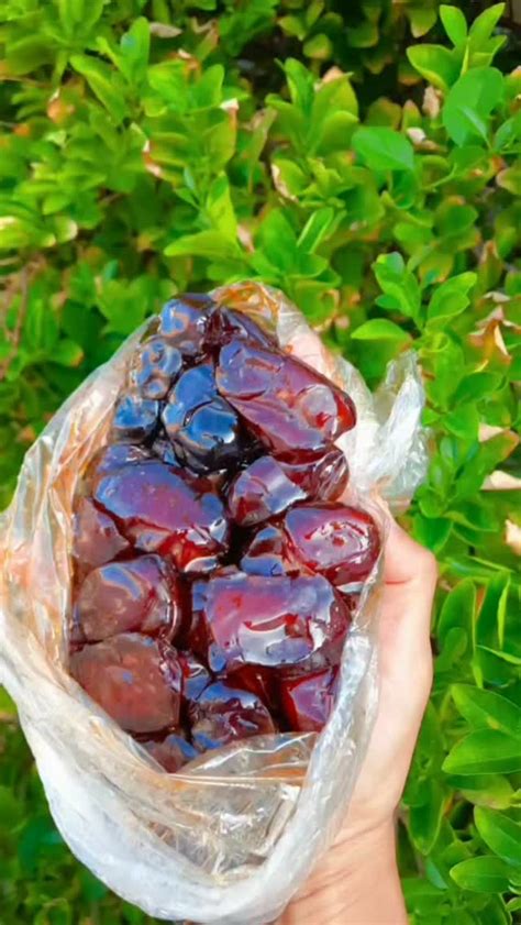 ‎دستچینخرماکبکاببریمیشهابیزاهدی‎ ‎خرمای شاهانی اعلا یکی از خوشمزه ترین خرماهاست قیمت یک