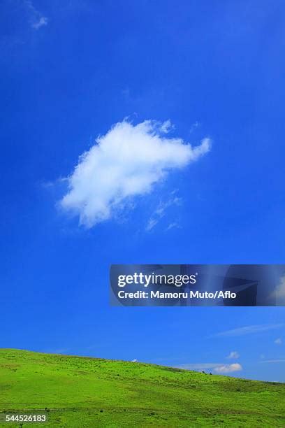 Hummock Grasslands Photos And Premium High Res Pictures Getty Images