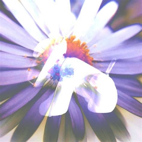 Stream Digimini Made In A Dai By ⅩⅬwinx Listen Online For Free On