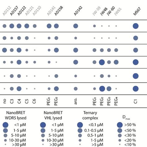 Dot Plot Illustration Of The Measurement Results For Correlation Analysis Download Scientific