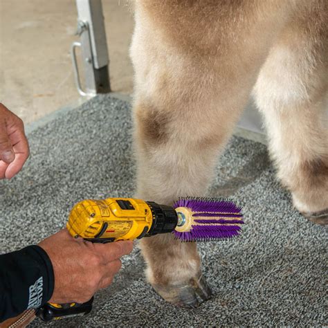 Roto Brush Sohobloo Shop