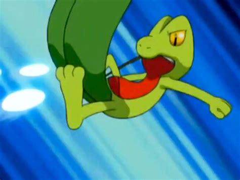 Pokemon Advanced E23 2003 Treecko Dodges By Tcontreras32 On Deviantart