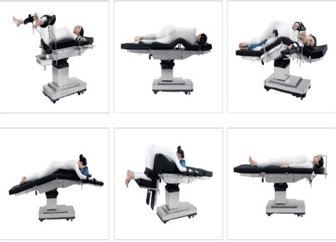 Hybase 3000 Bioteccg