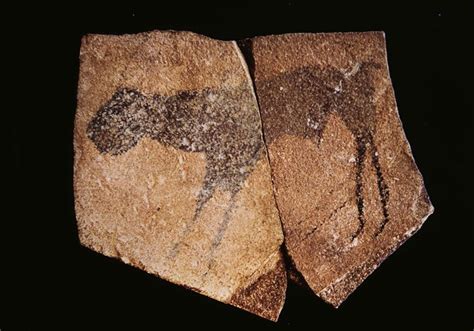 Apollo 11 Stones Namibia C 2550025300 Bce Charcoal On Stone
