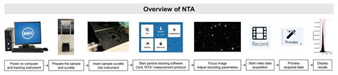 Nanoparticle Tracking Analysis Nta For Exosome Characterization Creative Biostructure