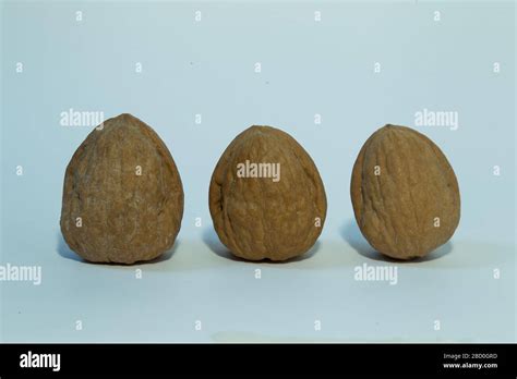 Nuts With Shell And Without Stock Photo Alamy