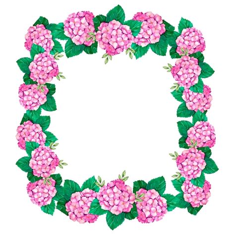 Page 3 Hydrangea Border Vectors And Illustrations For Free Download