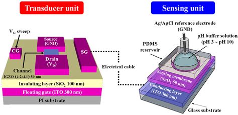 Fet Transistor Dual Gate At William Foxworth Blog