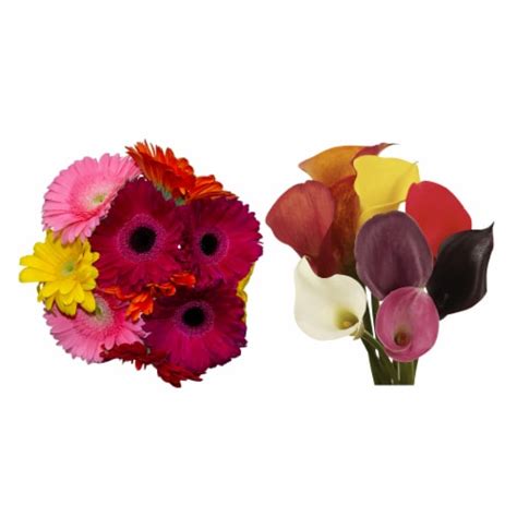 Vlsp Mini Callas And Gerbs Combo Box 1 Ct King Soopers