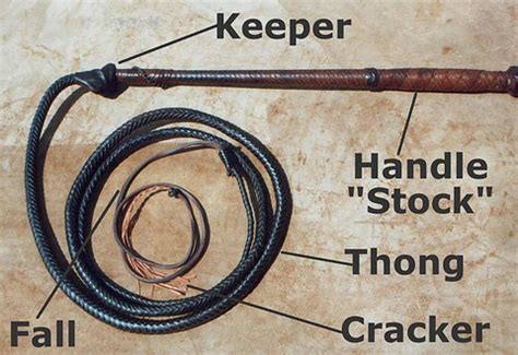 Bull Whip Vs Stock Whip What Sets Them Apart Leather Gold Sea