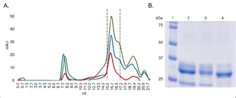 Protein Quantification From Size Exclusion Chromatography A Overlaid