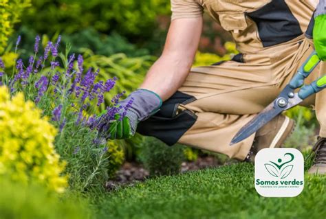 Kit Jardinagem Completo Para Horta Como Começar Sua Horta Caseira Em 2026