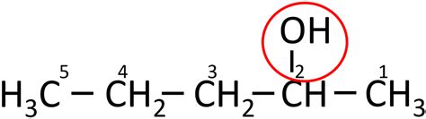 Chapter 8 Organic Chemistry Solutions For Class 10 Viraf J Dalal