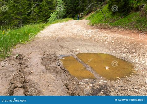 Big Puddle On Rut Road After Rain In Forest Stock Image Image Of Spring Landscape 43344935