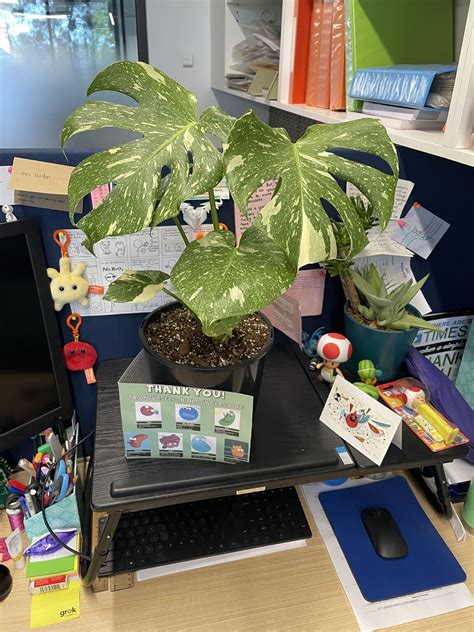 Elli Burdan On Linkedin The Most Beautiful And Amazing T From My Vce Biology Class Today I Am…