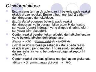 Biokimia Enzim 02 Ppt
