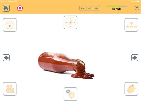 Semantic Feature Analysis Sfa For Anomia In Aphasia How To Guide