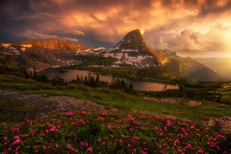 Famous Photographers Of Nature